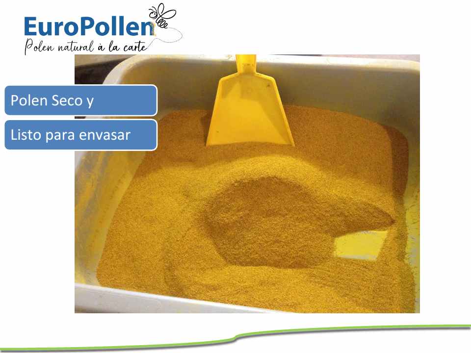 Mejora de la polinización e introducción a Vericet - Europollen